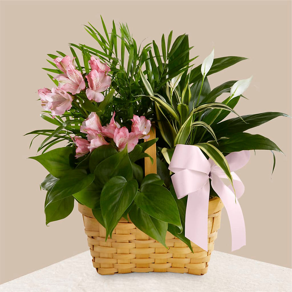 Temecula Florist | Same Day Flower Delivery by Wes' Flowers